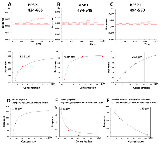 Independent Membrane Binding Properties of the Caspase Generated ...