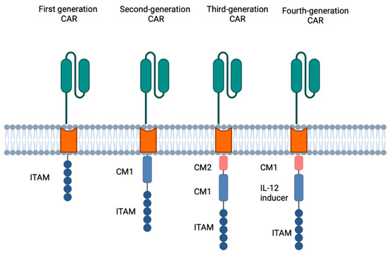 CAR T-Cell Therapy for Cancer: Latest Updates and Challenges, with a ...