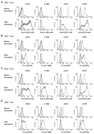 Fundamental Characterization of Antibody Fusion-Single-Chain TNF ...