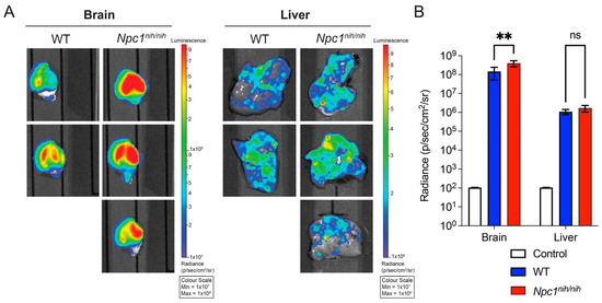 A Novel Small NPC1 Promoter Enhances AAV-Mediated Gene Therapy in Mouse ...