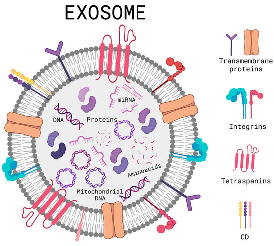 Exosomes: A Promising Strategy for Repair, Regeneration and Treatment of Skin Disorders