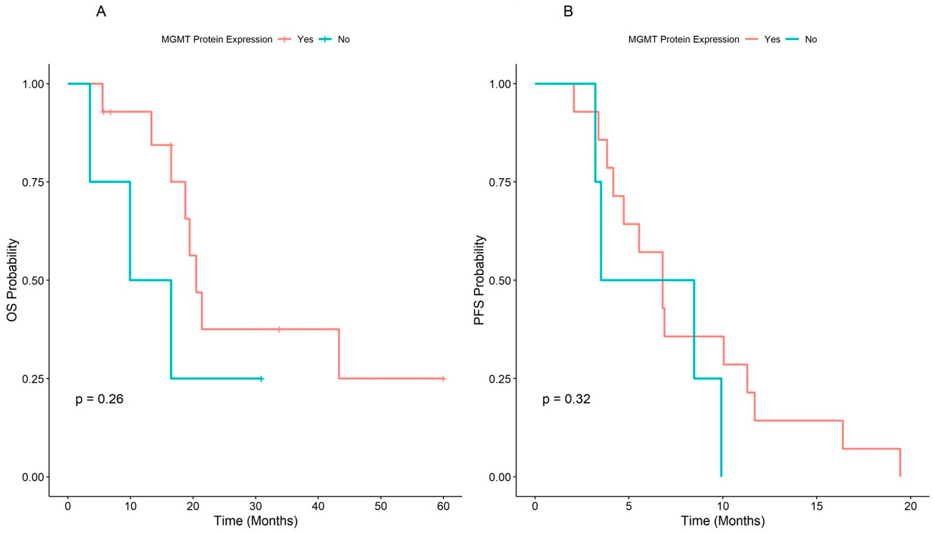 Cells Free Full Text The Impact Of O6 Methylguanine Dna