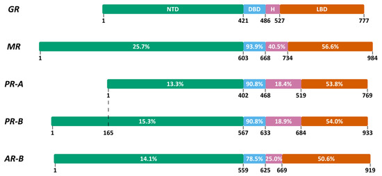 The Biologist’s Guide to the Glucocorticoid Receptor’s Structure