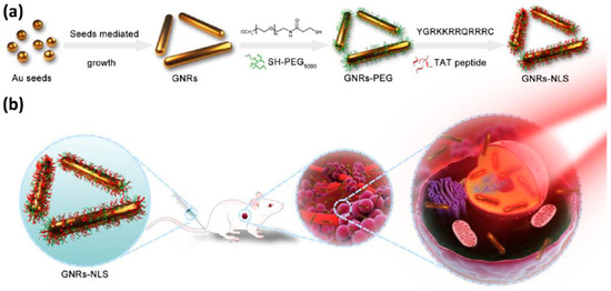Nuclear Delivery of Nanoparticle-Based Drug Delivery Systems by Nuclear ...