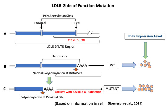 A Review of Progress on Targeting LDL Receptor-Dependent and ...