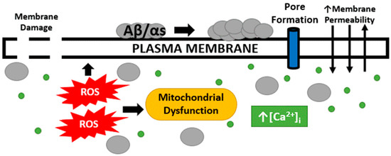 Leveraging Plasma Membrane Repair Therapeutics for Treating ...