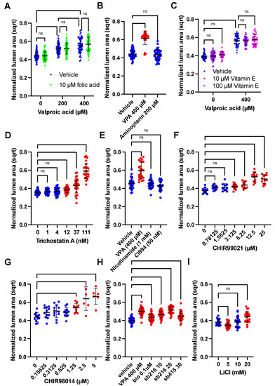 A Shared Pathogenic Mechanism for Valproic Acid and SHROOM3 Knockout in ...