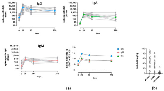 Trajectory of Spike-Specific B Cells Elicited by Two Doses of BNT162b2 ...