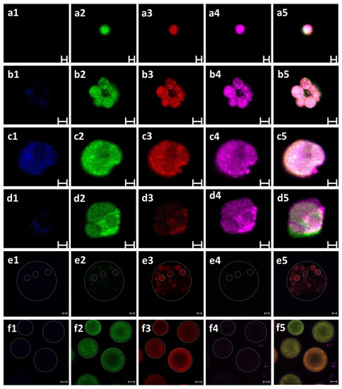 Cells | Free Full-Text | Improved Media Formulations for Primary Cell ...