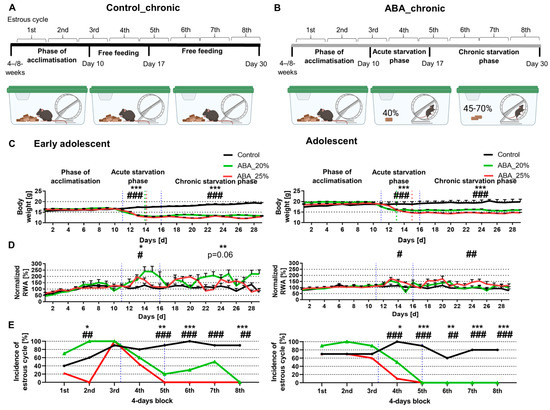 Establishment of a Murine Chronic Anorexia Nervosa Model