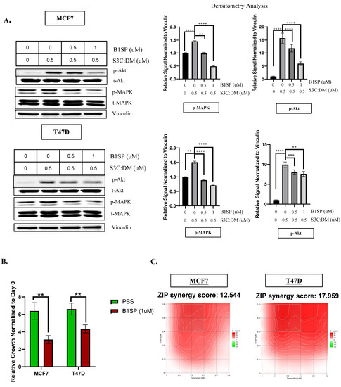 Cells | Free Full-Text | Dependency of Tamoxifen Sensitive and ...