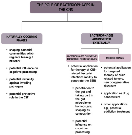 Phage Interactions with the Nervous System in Health and Disease