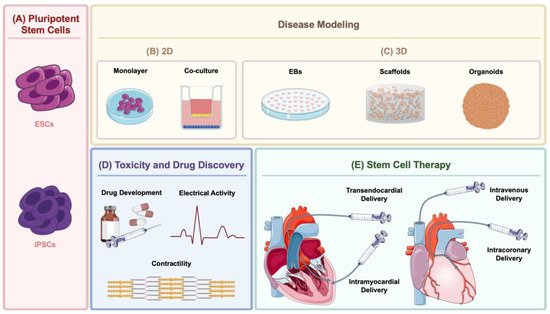 Human Stem Cells for Cardiac Disease Modeling and Preclinical and Clinical Applications—Are We ...