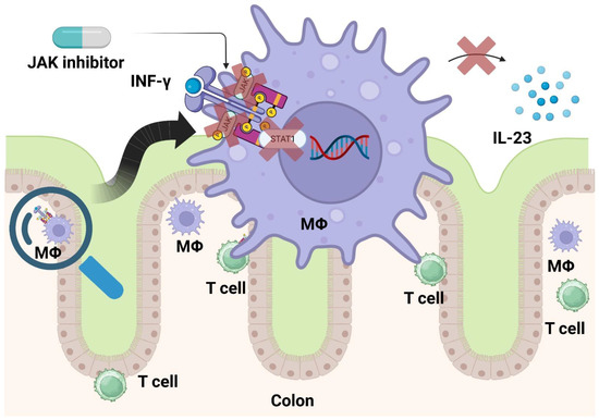 Novel Small Molecules in IBD: Current State and Future Perspectives