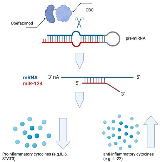 Novel Small Molecules in IBD: Current State and Future Perspectives