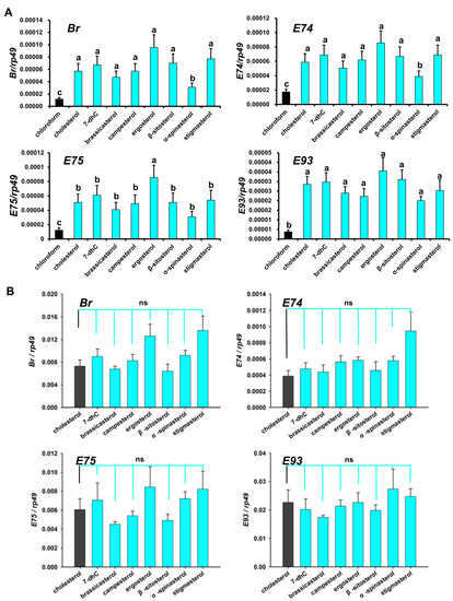 Sterol Regulation of Development and 20-Hydroxyecdysone Biosynthetic ...