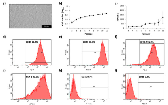 Methylglyoxal Impairs the Pro-Angiogenic Ability of Mouse Adipose ...