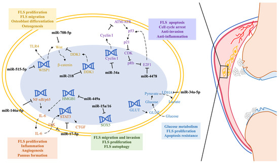 Role of miRNAs in Rheumatoid Arthritis Therapy