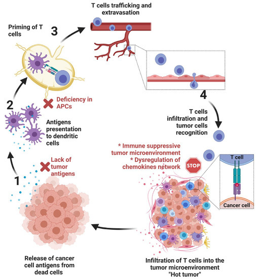 Lighting Up the Fire in the Microenvironment of Cold Tumors: A Major ...