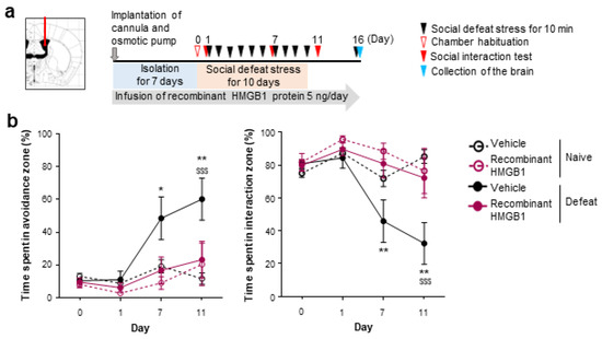 Repeated Social Defeat Stress Induces HMGB1 Nuclear Export in ...