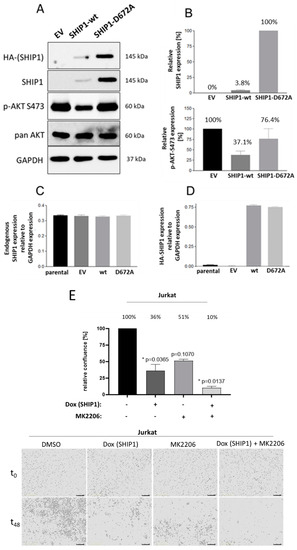 SHIP1 Is Present but Strongly Downregulated in T-ALL, and after ...