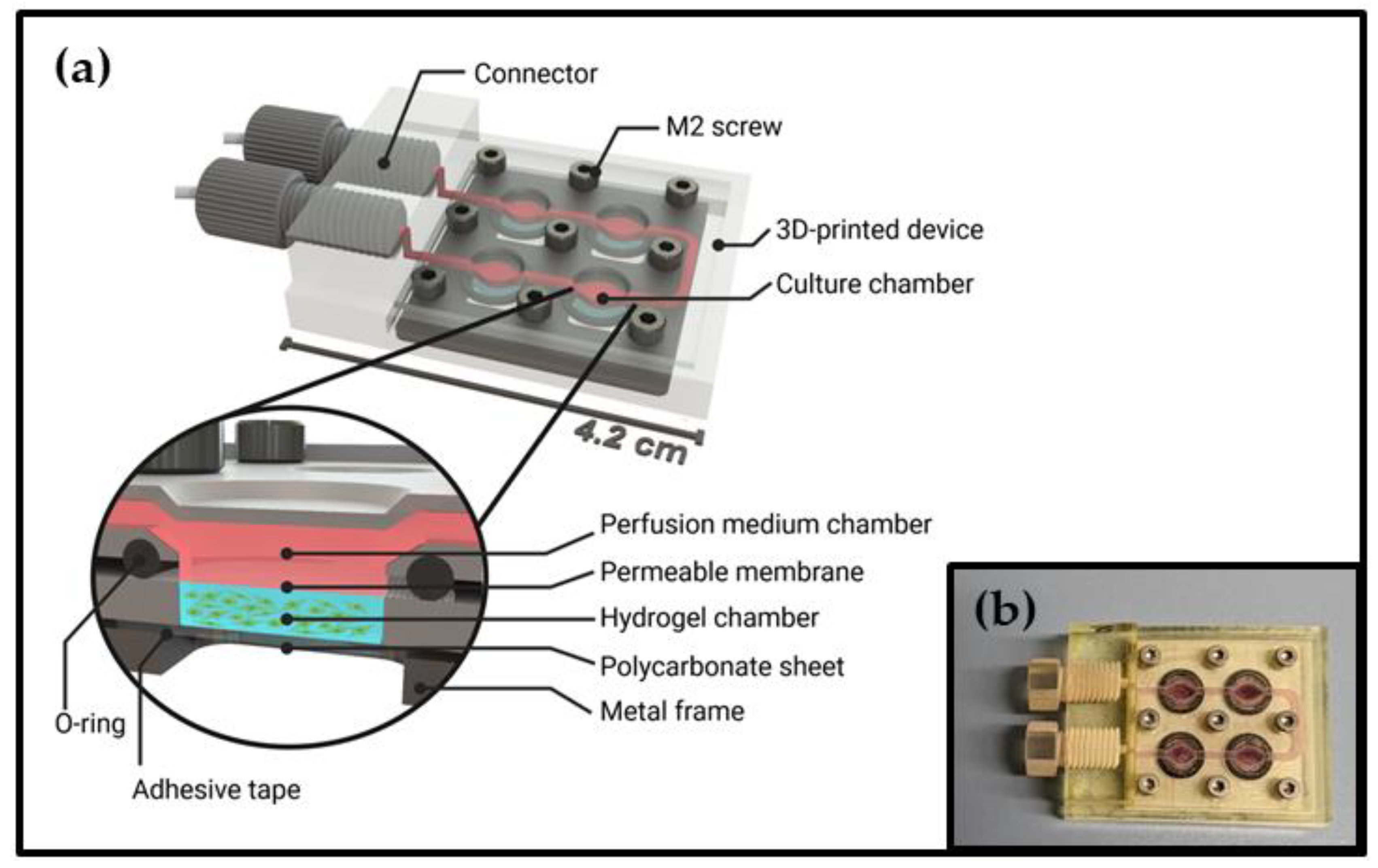 3D-Printed Microfluidic Perfusion System for Parallel Monitoring of Hydrogel-Embedded Cell Cultures