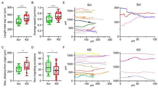 Migration of Myogenic Cells Is Highly Influenced by Cytoskeletal Septin7