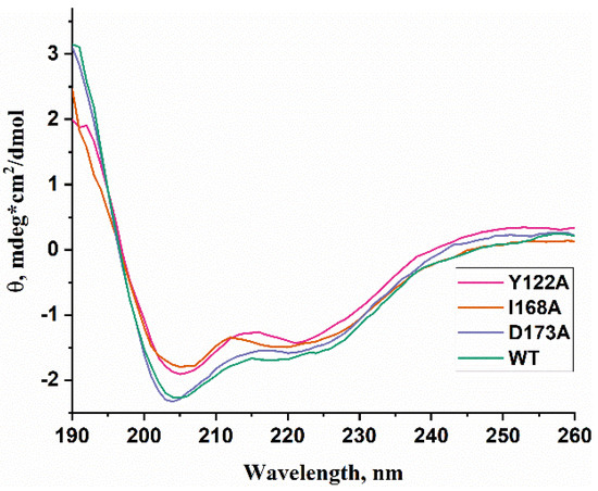 Individual Contributions of Amido Acid Residues Tyr122, Ile168, and ...