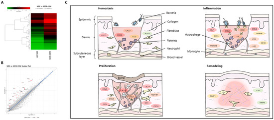 Therapeutic Effects and Underlying Mechanism of SOCS-com Gene ...