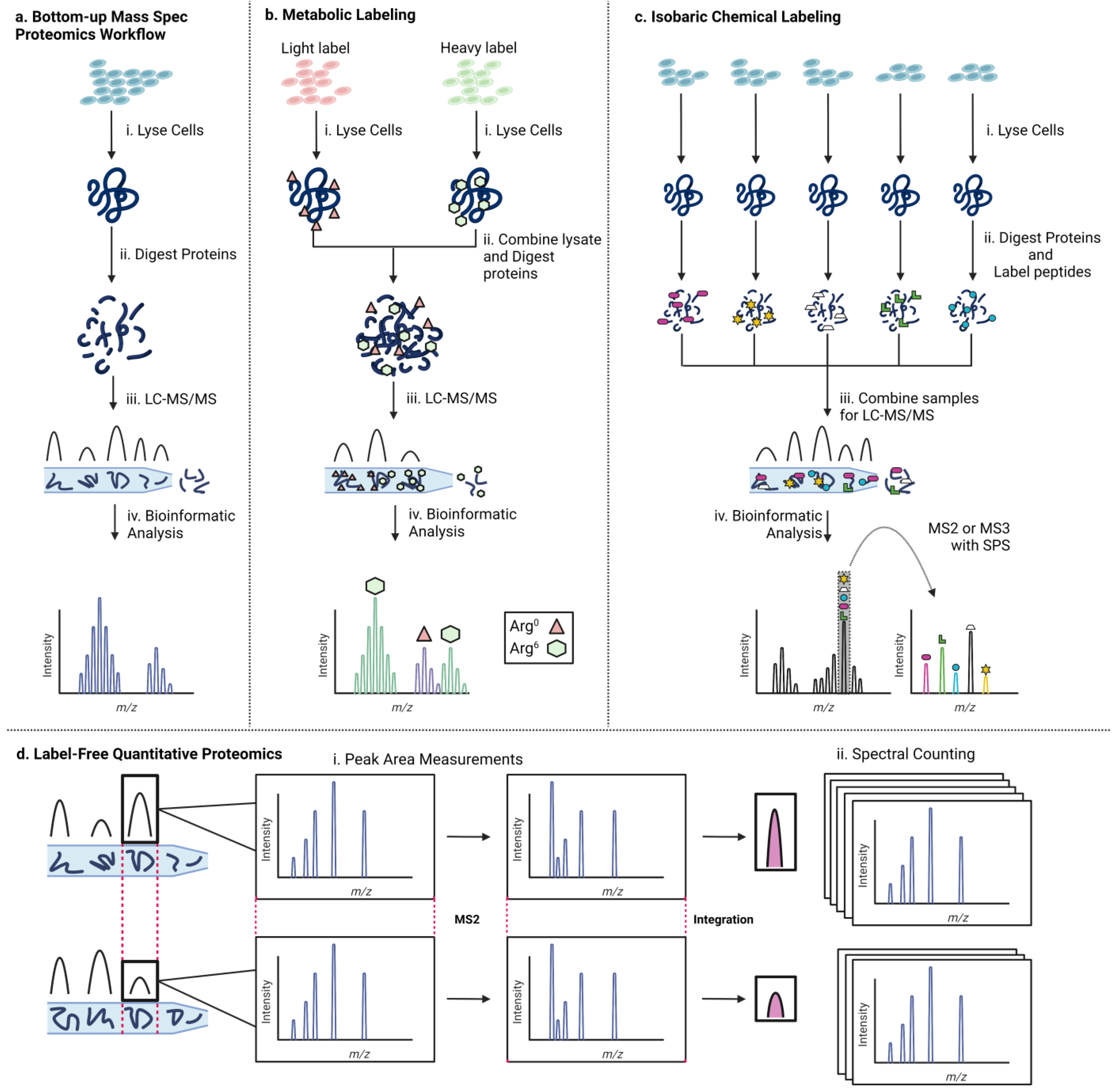 Reverse-ChIP Techniques for Identifying Locus-Specific Proteomes: A Key ...