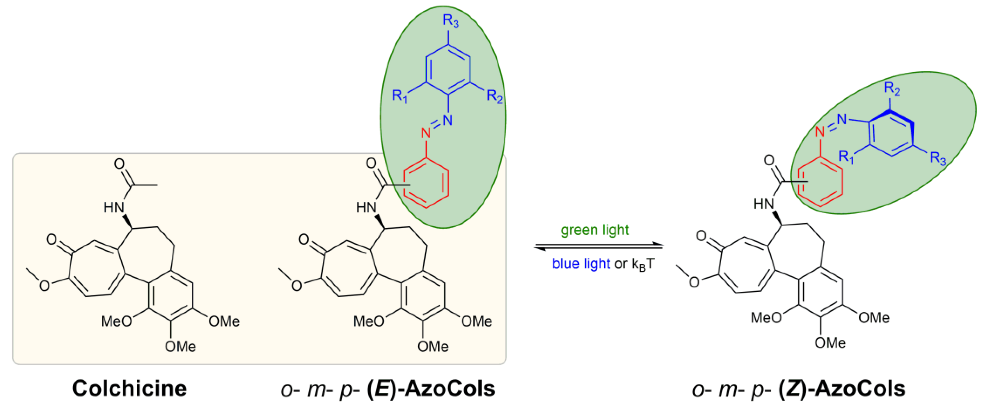First-in-Class Colchicine-Based Visible Light Photoswitchable ...