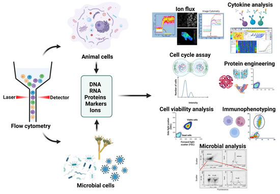 Flow Cytometry: The Next Revolution
