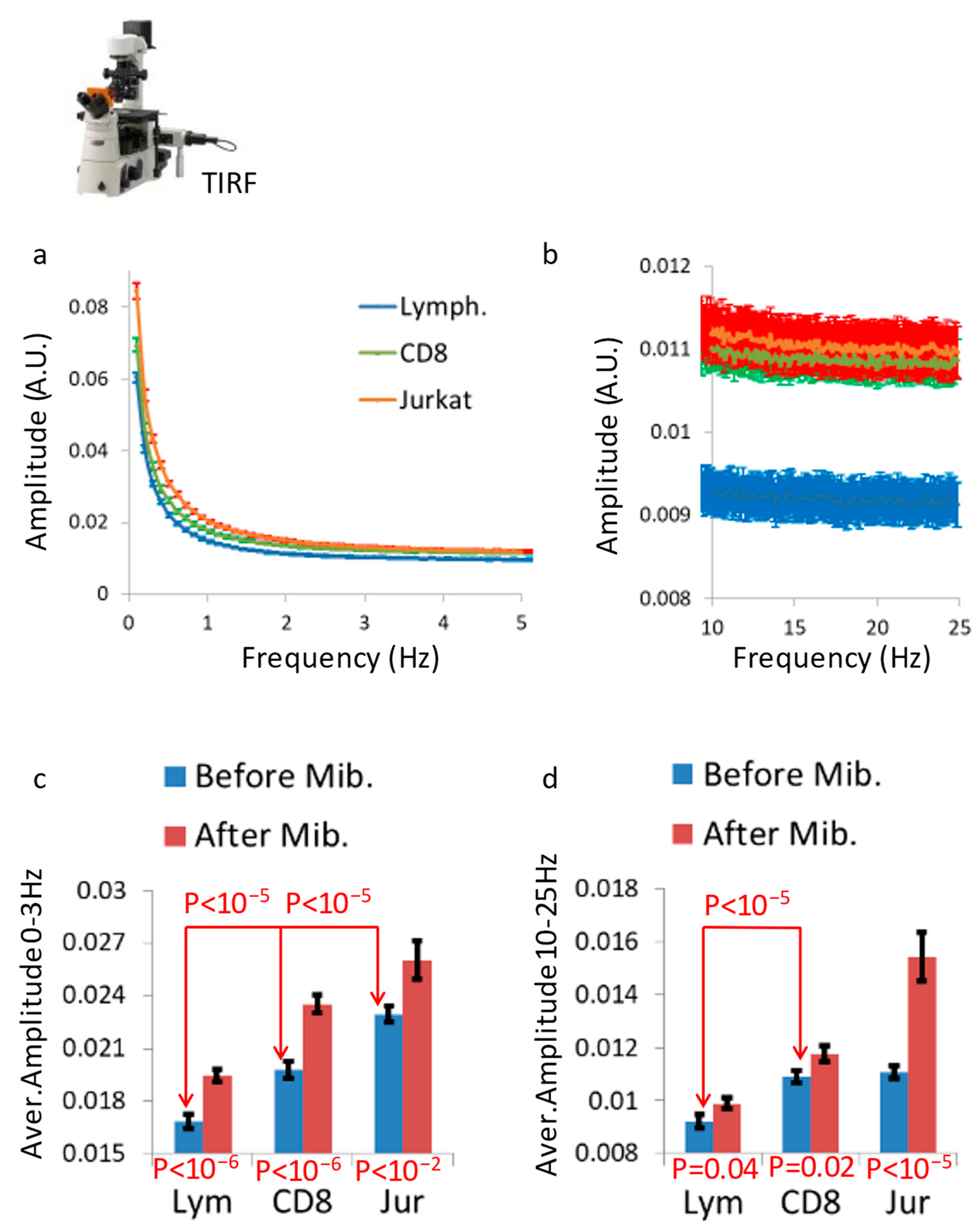 Cells | Free Full-Text | Cell Surface Vibrations Distinguish Malignant ...
