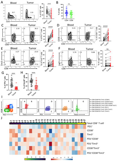Intratumoral PD1+CD38+Tim3+ CD8+ T Cells in Pre-BCG Tumor Tissues Are ...