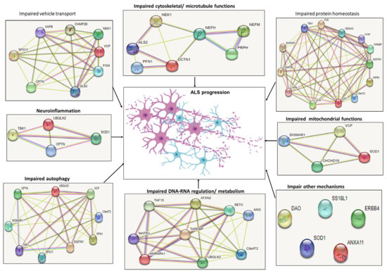 Studies of Genetic and Proteomic Risk Factors of Amyotrophic Lateral ...