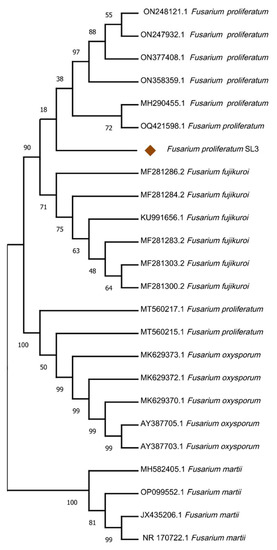 Enhanced Physiological and Biochemical Performance of Mung Bean and Maize under Saline and Heavy ...