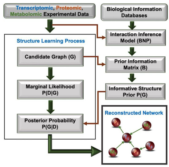 Cells | Free Full-Text | Integration of Meta-Multi-Omics Data Using Probabilistic Graphs and ...