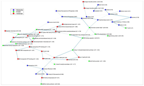 Cells | Free Full-Text | Integration of Meta-Multi-Omics Data Using Probabilistic Graphs and ...