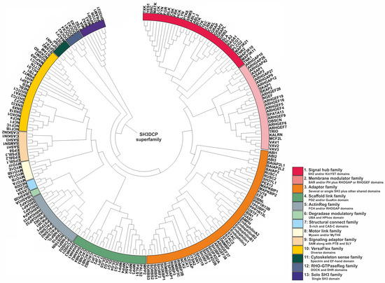 A Systematic Compilation of Human SH3 Domains: A Versatile Superfamily ...