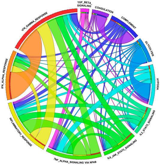 Cells | Free Full-Text | Myeloid-CITED2 Deficiency Exacerbates Diet ...
