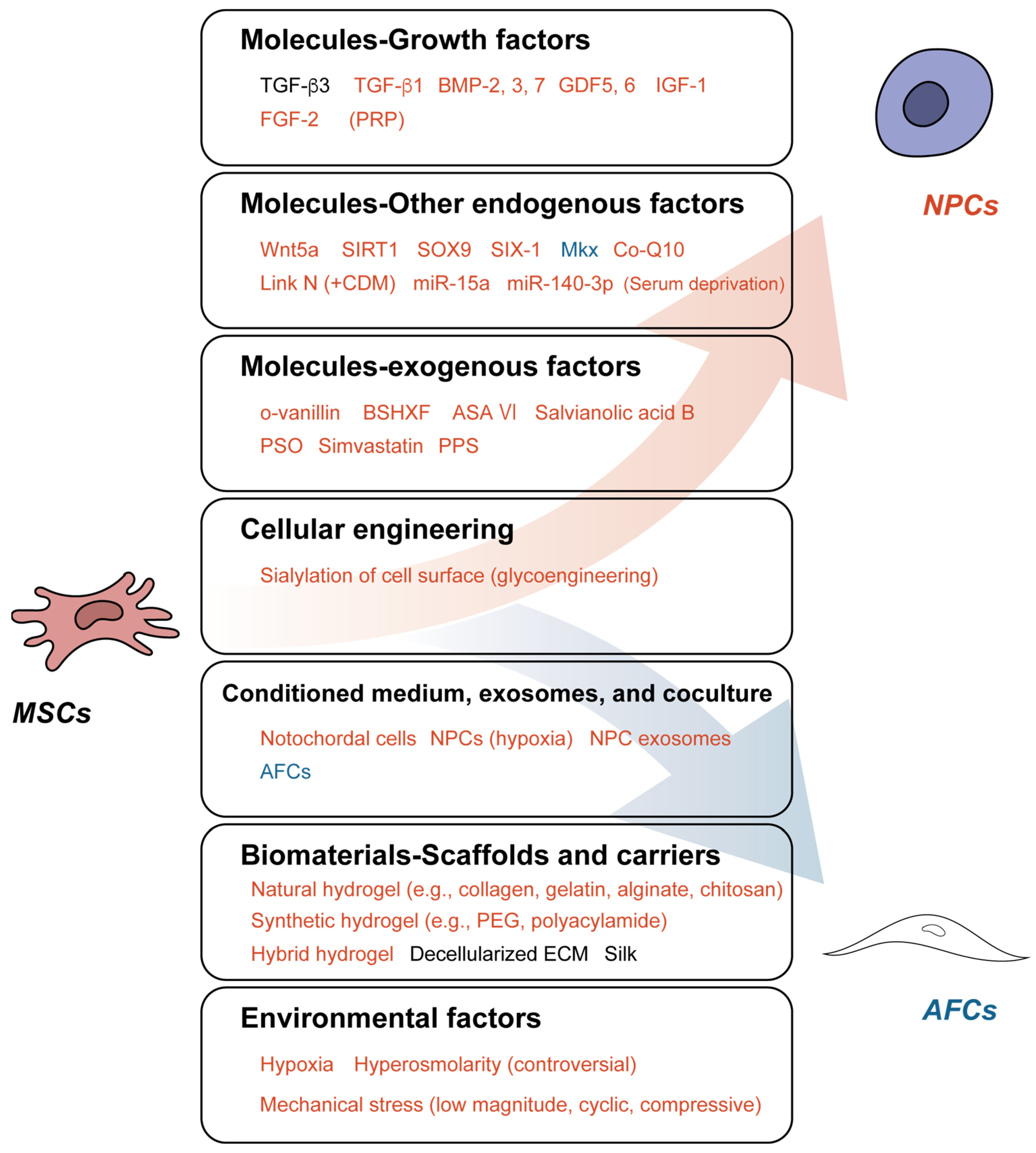 A Review: Methodologies to Promote the Differentiation of Mesenchymal ...