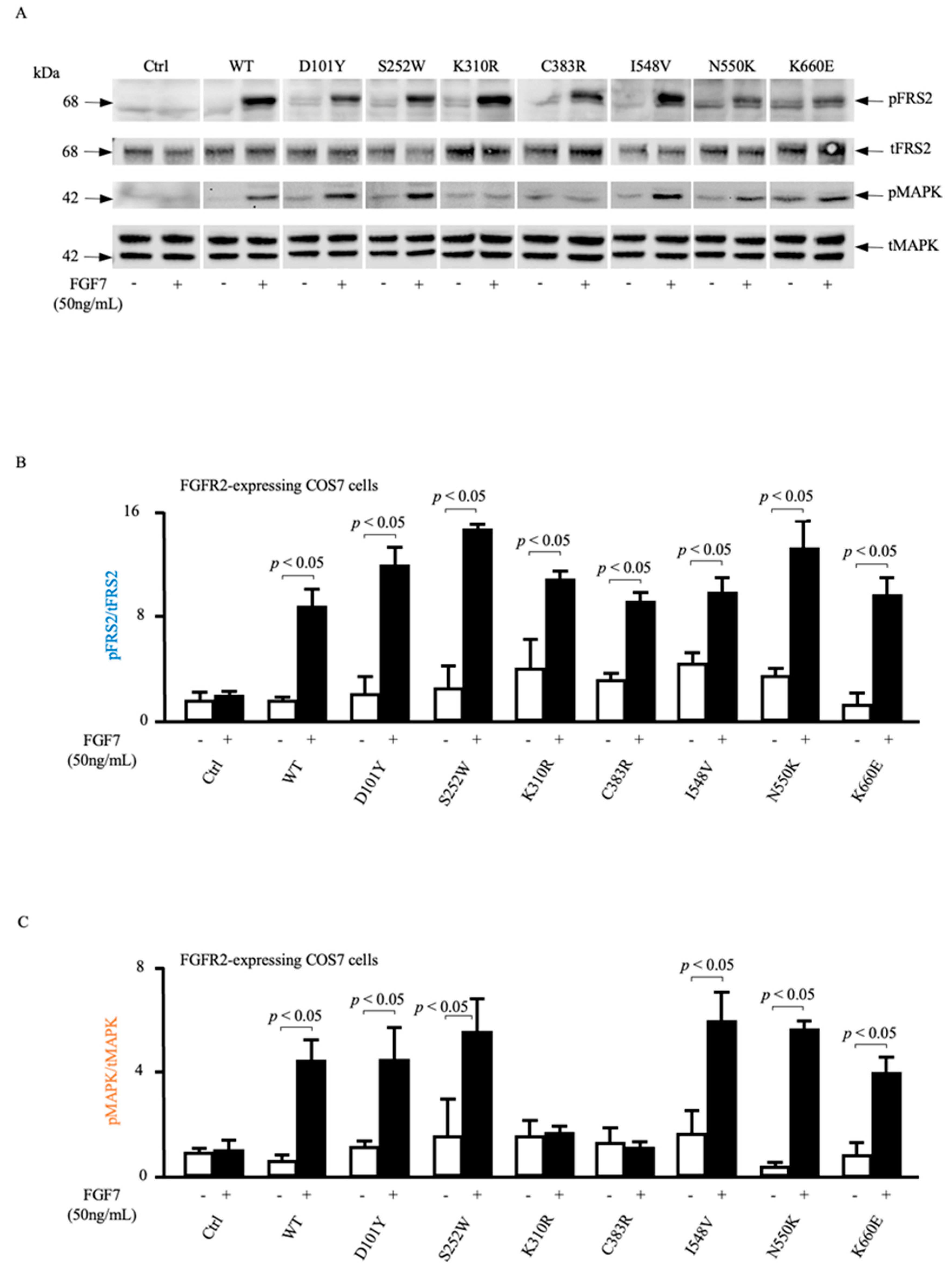 Functional Distinctions of Endometrial Cancer-Associated Mutations in ...