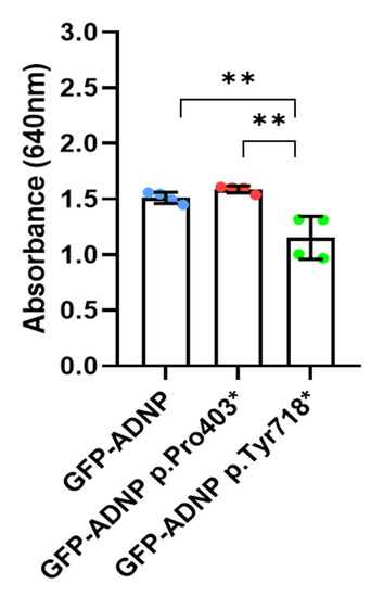 NAP (Davunetide): The Neuroprotective ADNP Drug Candidate Penetrates ...