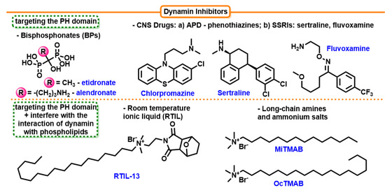 The Chemical Inhibitors of Endocytosis: From Mechanisms to Potential ...