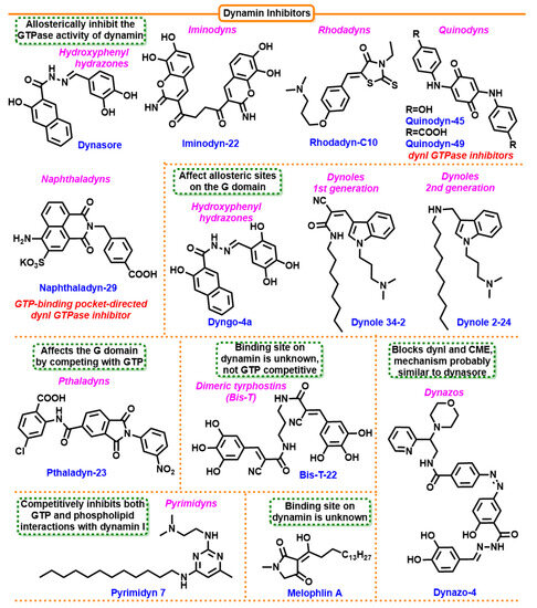 The Chemical Inhibitors of Endocytosis: From Mechanisms to Potential ...