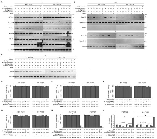 Let-7g Upregulation Attenuated the KRAS–PI3K–Rac1–Akt Axis-Mediated ...