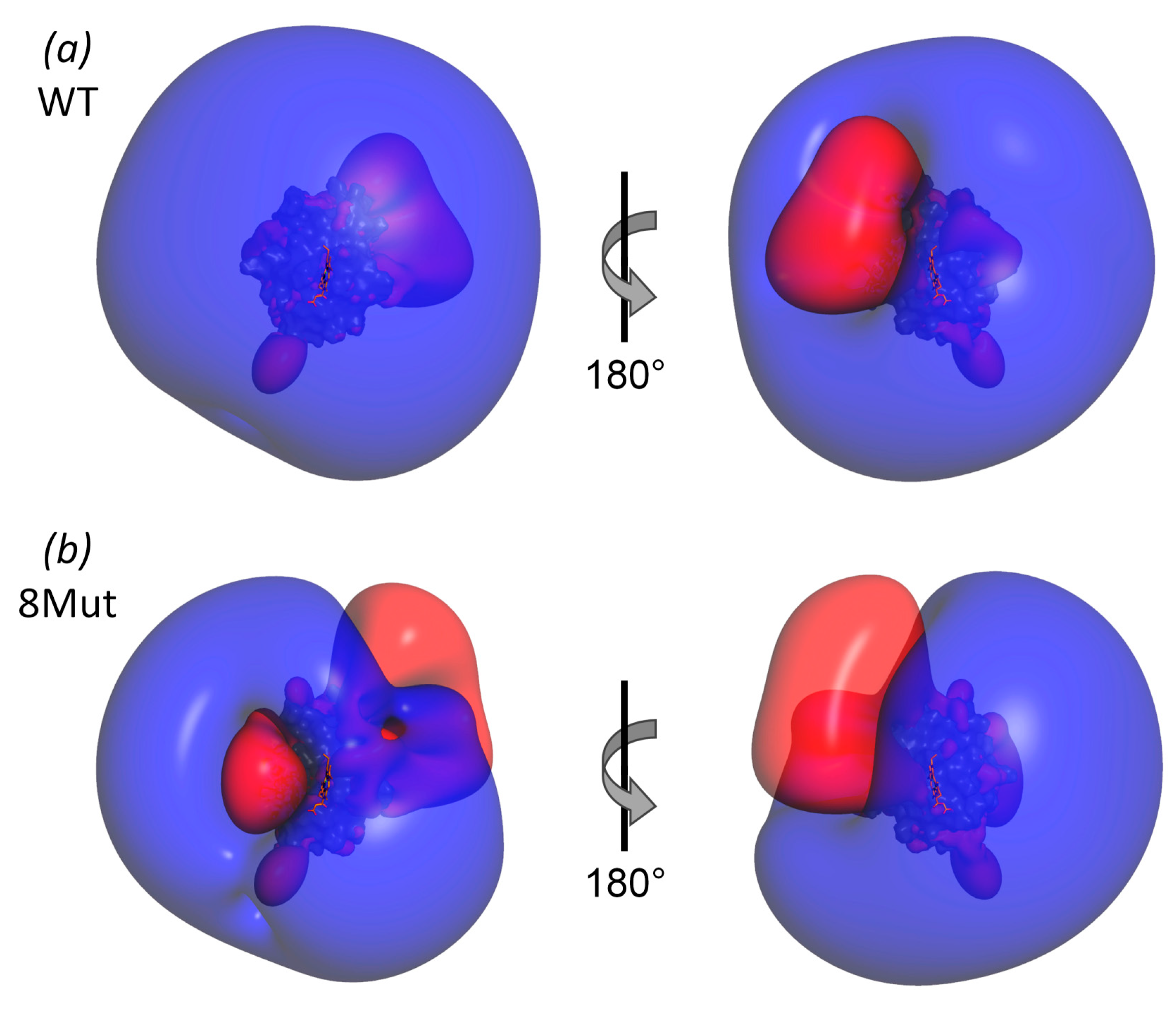 Mutant Cytochrome C as a Potential Detector of Superoxide Generation ...