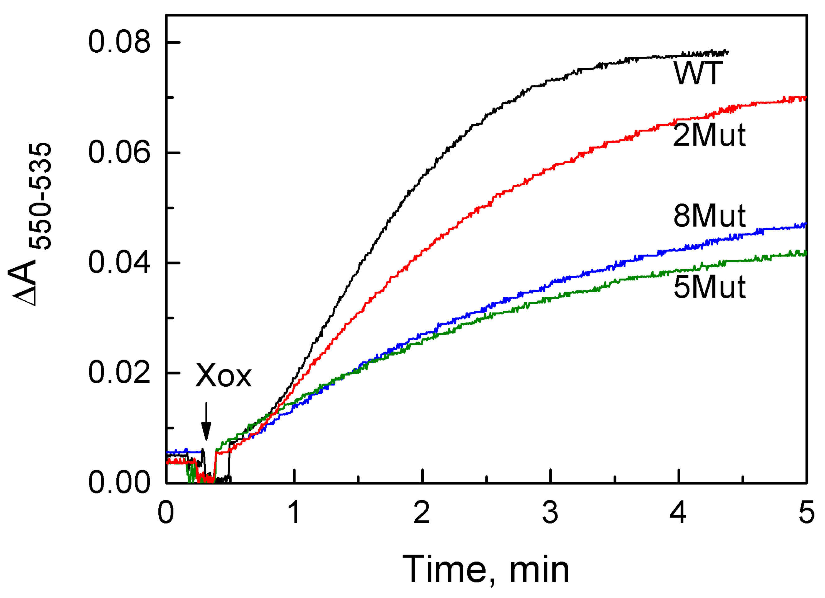 Mutant Cytochrome C as a Potential Detector of Superoxide Generation ...