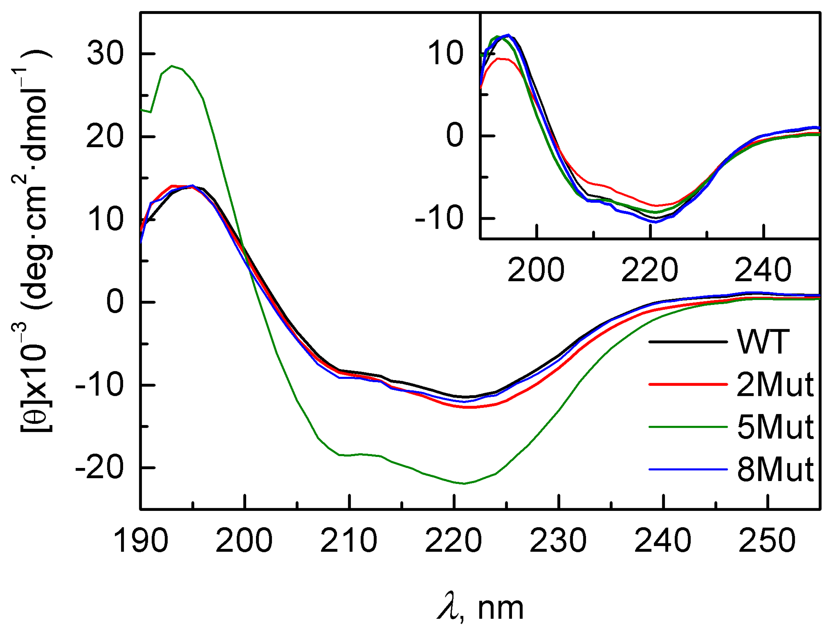 Mutant Cytochrome C as a Potential Detector of Superoxide Generation ...