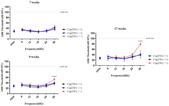 Cells | Free Full-Text | Novel Variant in CEP250 Causes Protein ...